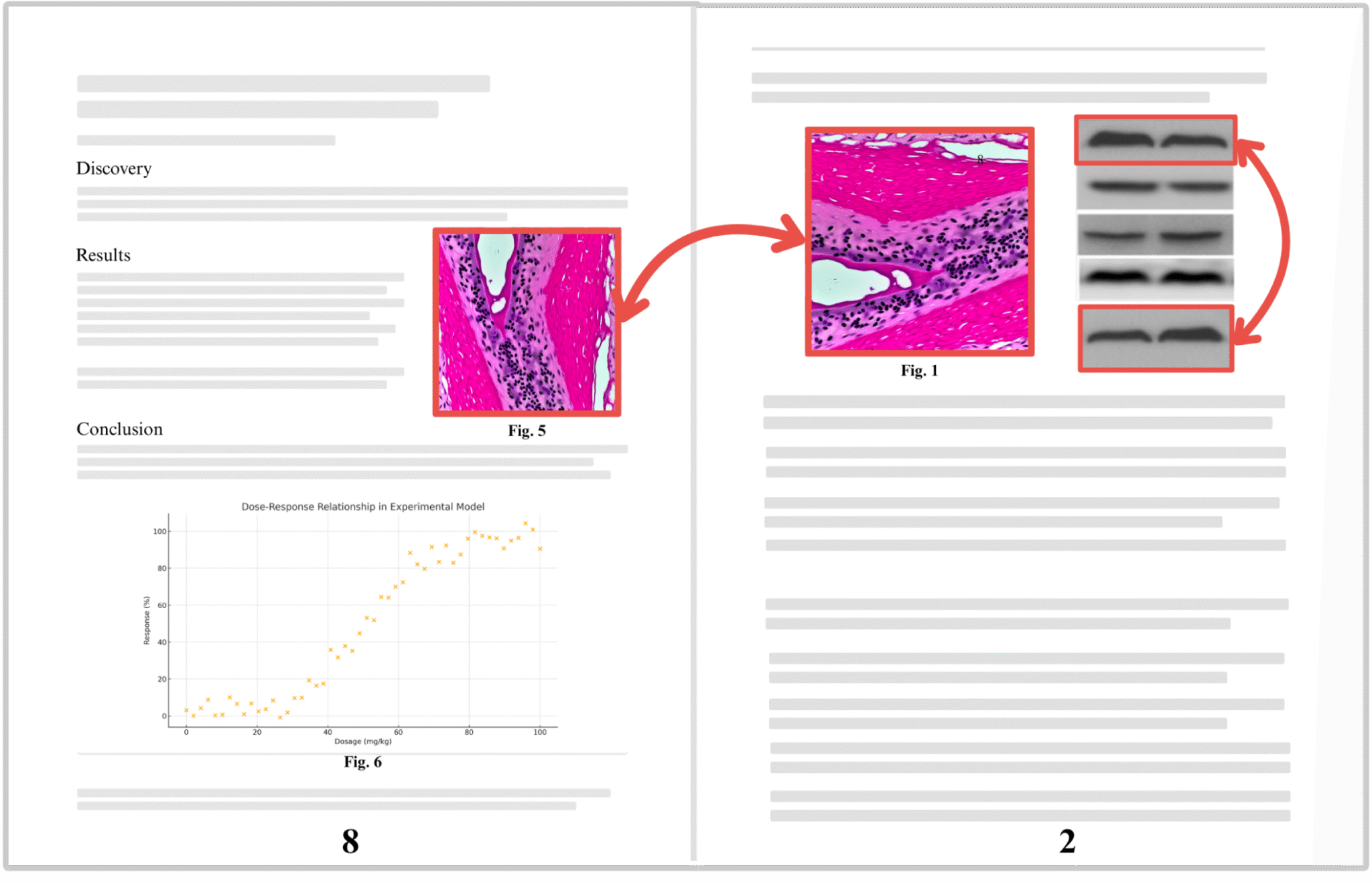 Proofig AI for Researchers | Ensure Image & Research Integrity